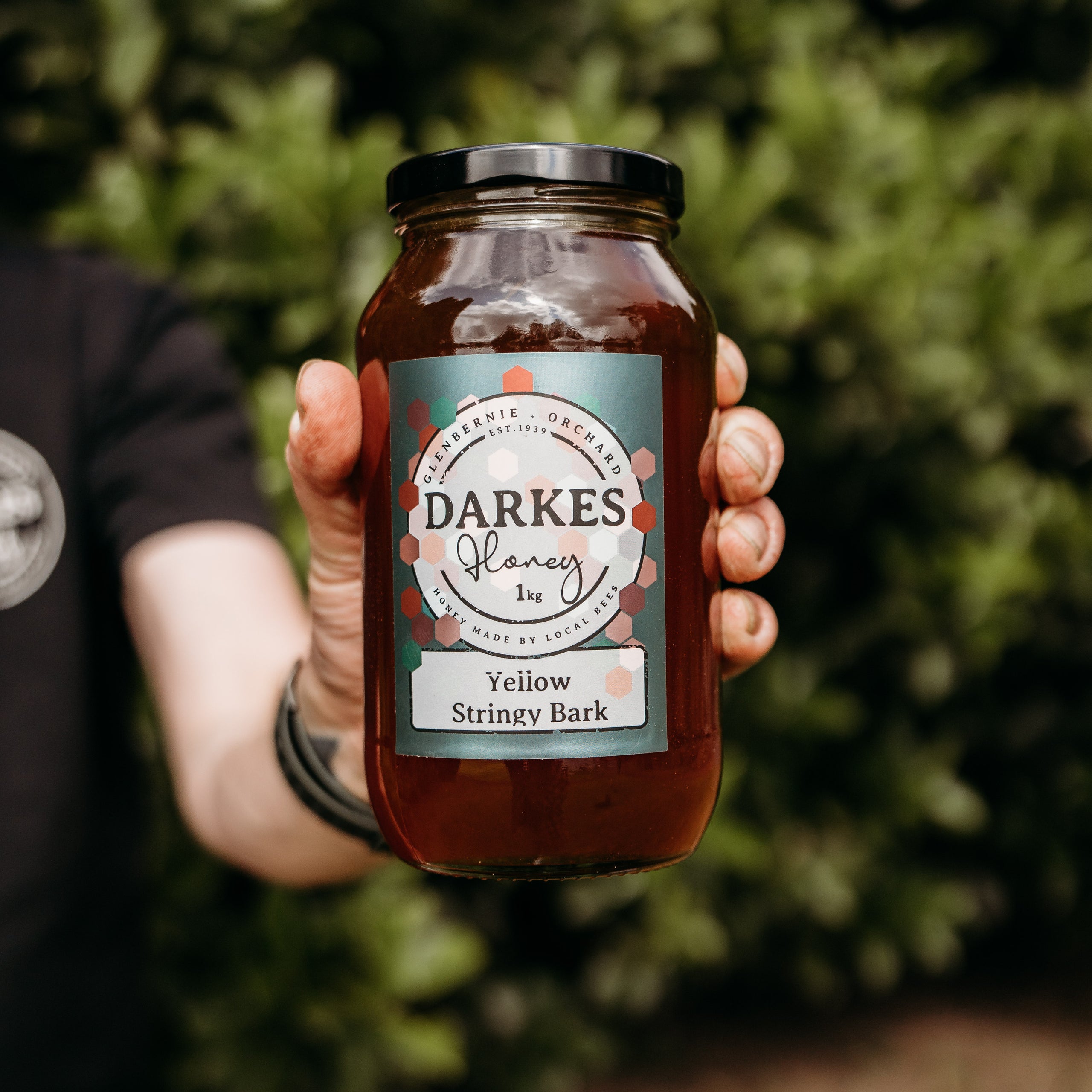 Yellow Stringybark Honey - 1kg | Glenbernie Orchard - Home of Darkes Cider