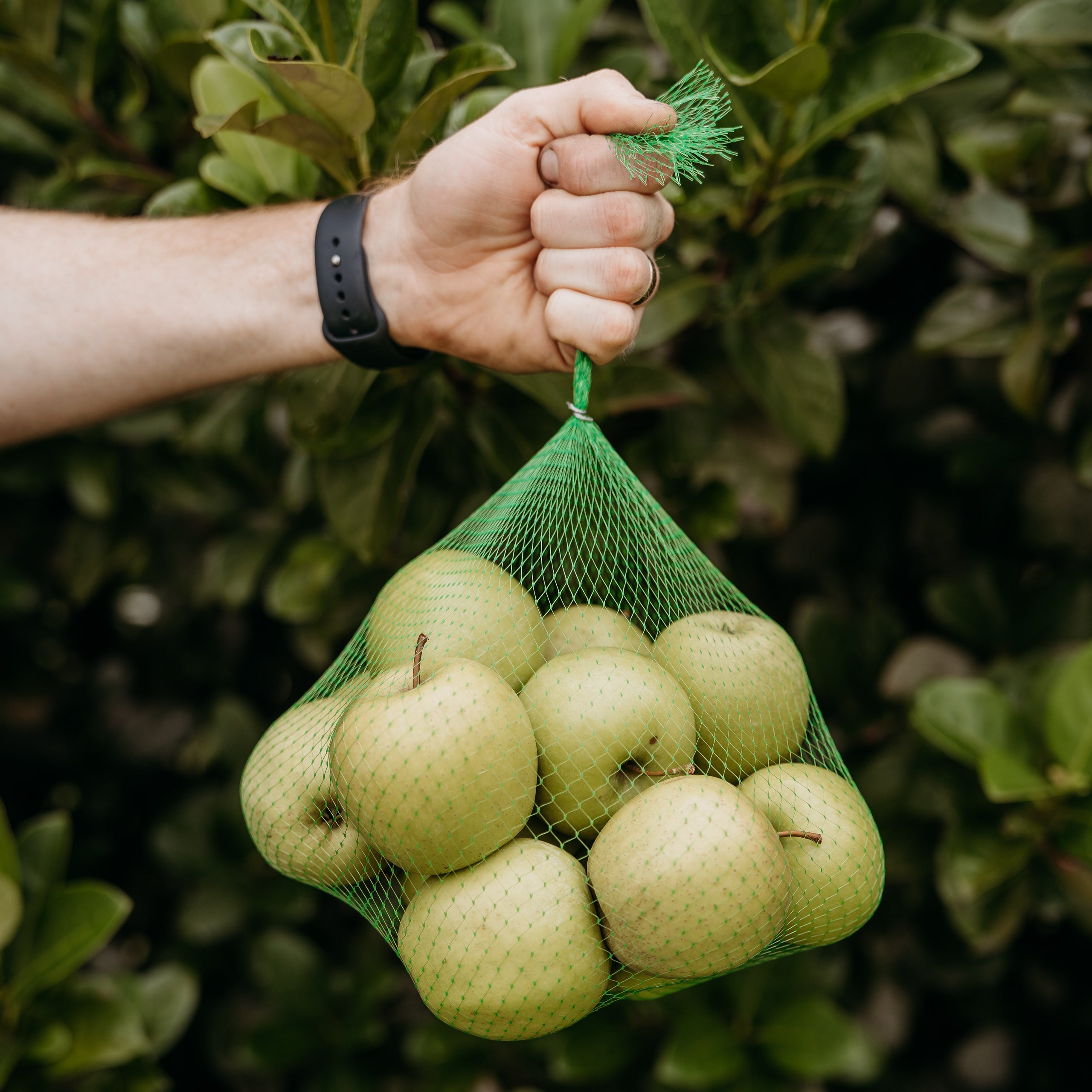 Golden Delicious - 2kg Bag | Glenbernie Orchard - Home of Darkes Cider